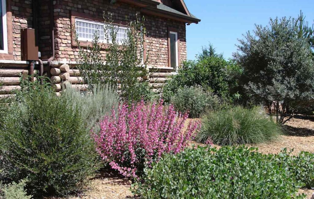 10 Utah Landscaping Ideas to Transform Your Yard in 2025