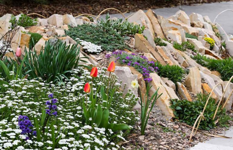 10 Utah Landscaping Ideas to Transform Your Yard in 2025
