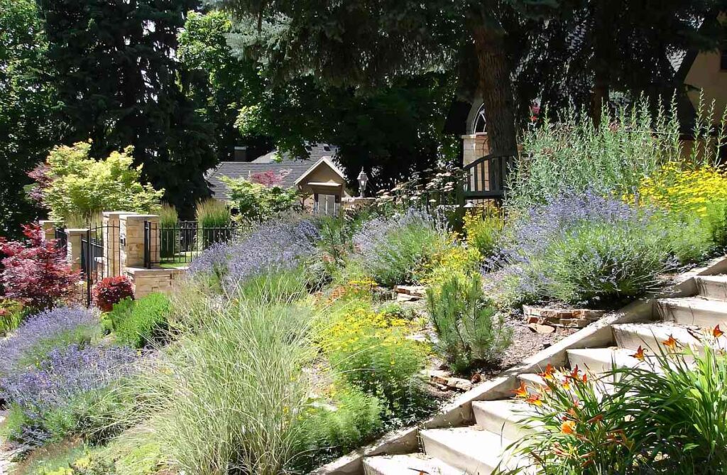 10 Utah Landscaping Ideas to Transform Your Yard in 2025